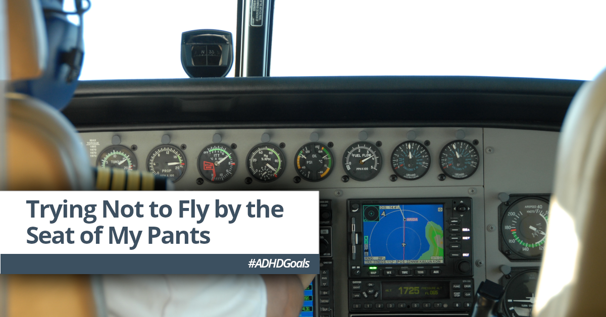 Trying Not to Fly By the Seat of my Pants - David G. Johnson